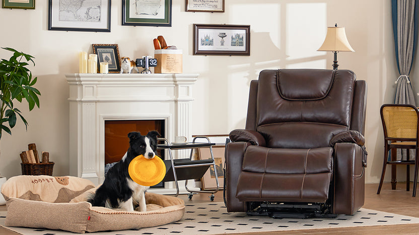Irene House® Official Online Store | Power Lift Recliners & Chairs ...